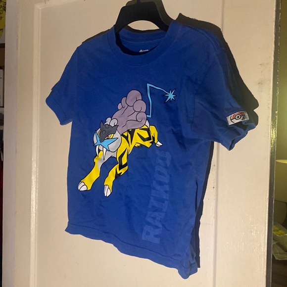 Disney | Shirts & Tops | Authentic Raikou Tshirt Walt Disney World ...